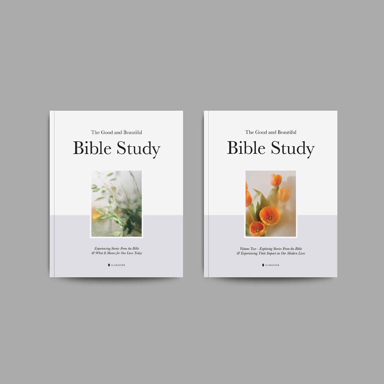 The Good and Beautiful Bible Studies - Bundle – Alabaster Co Canada