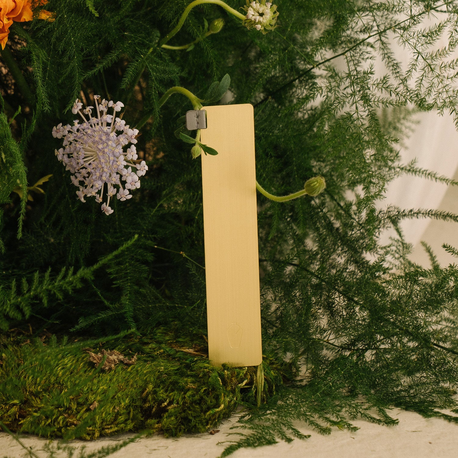 Accessories – Alabaster Co Canada